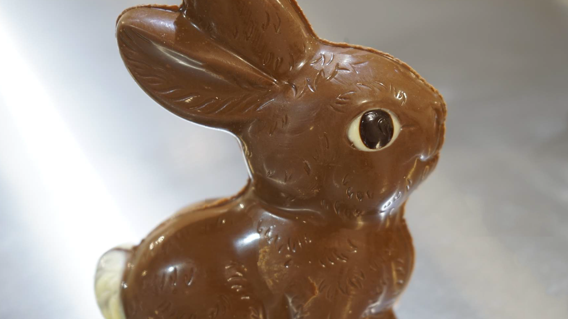 Seasonal Chocolates | Noosa Chocolate Factory